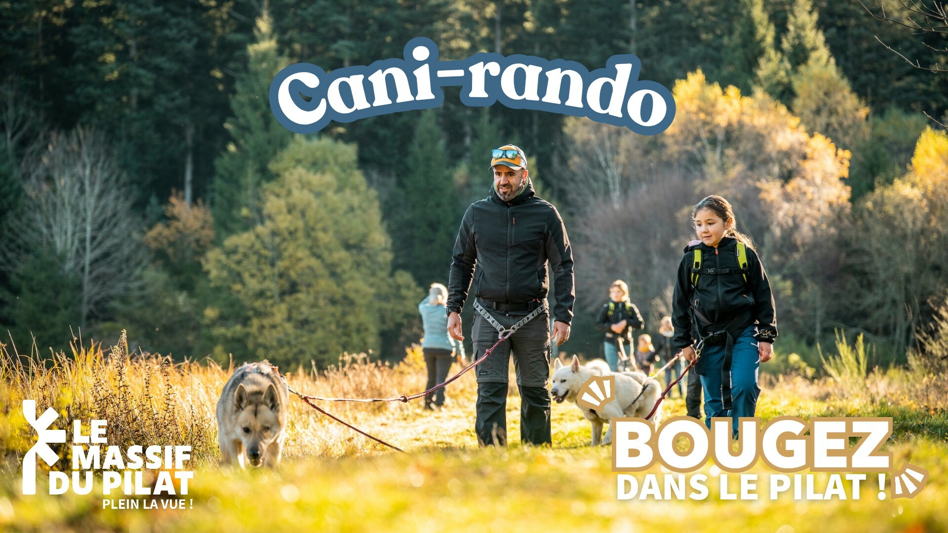 Actualités - Programmation Bougez dans le Pilat : Canirandonnée ...